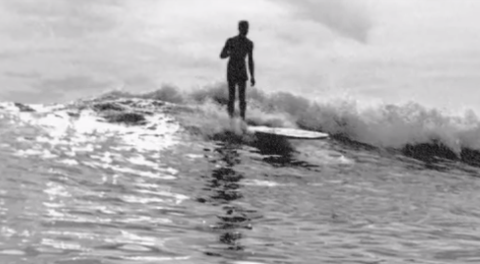 A história de Nick Gabaldon, o primeiro surfista afro-americano - Aloha ...